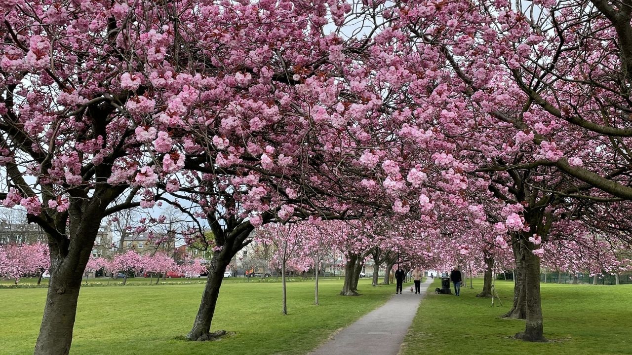 Green Savings Bond cut to 2.95%: are there better ethical savings? - Be ...